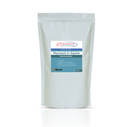 Mycosorb A+ Equine | Boomerang Nutrition