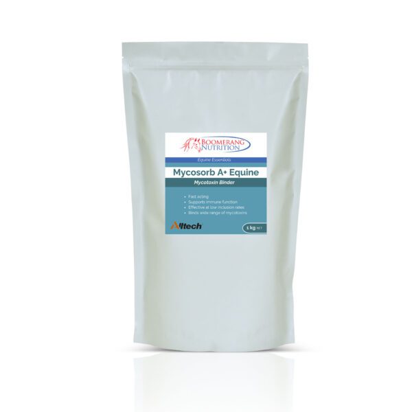 Mycosorb A+ Equine | Boomerang Nutrition